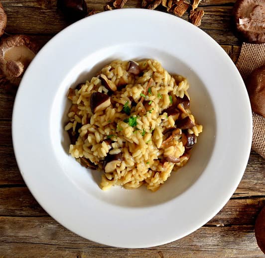 Las 15 Mejores Recetas con BOLETUS Edulis - Seta Reina para cocinar