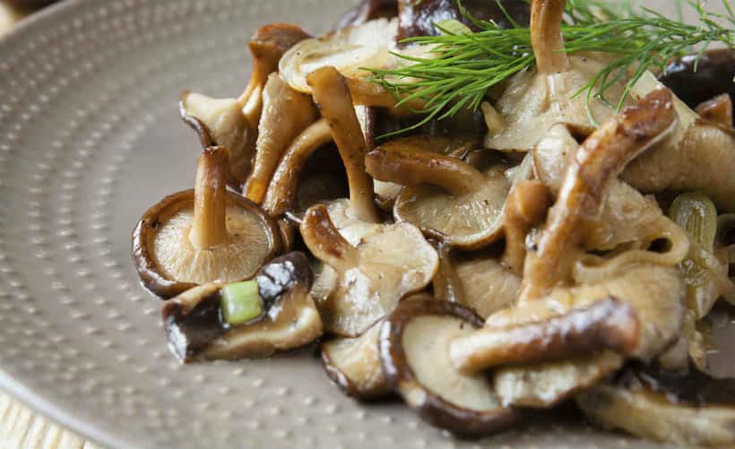Como Cocinar las Senderuelas: Recetas son Setas Senderuelas